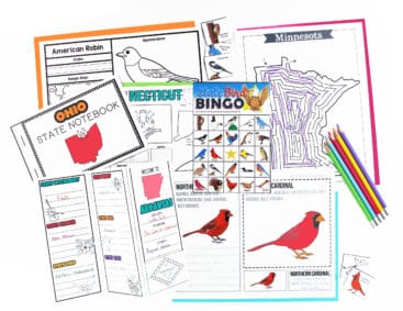 U.S.A. State Activity Pages