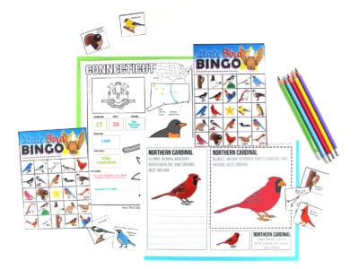 U.S.A. State Activity Pages