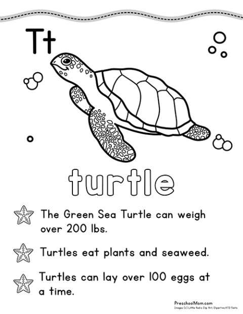 Color & Learn A-Z Animals & Habitats - The Crafty Classroom