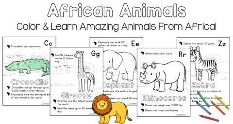 Color & Learn A-Z Animals & Habitats - The Crafty Classroom