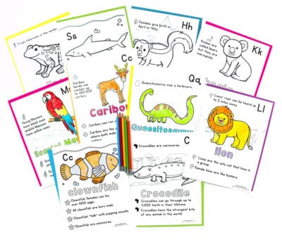 Color & Learn A-Z Animals & Habitats - The Crafty Classroom