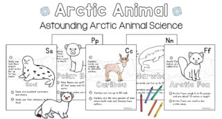 Color & Learn A-Z Animals & Habitats - The Crafty Classroom