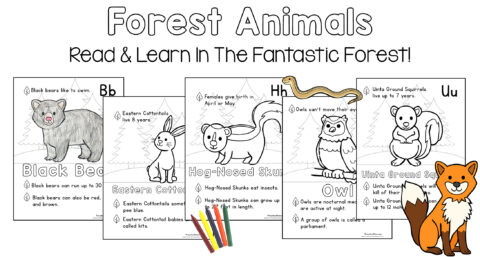 Color & Learn A-Z Animals & Habitats - The Crafty Classroom