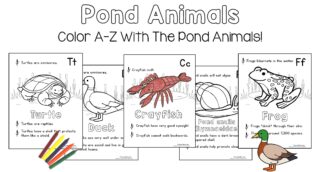Color & Learn A-Z Animals & Habitats - The Crafty Classroom