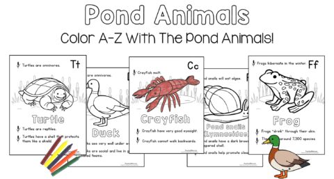 Color & Learn A-Z Animals & Habitats - The Crafty Classroom