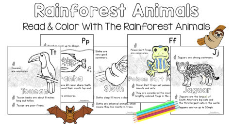 Color & Learn A-Z Animals & Habitats - The Crafty Classroom