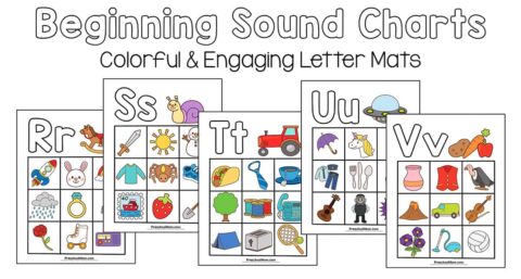 Alphabet Curriculum Notebook - The Crafty Classroom