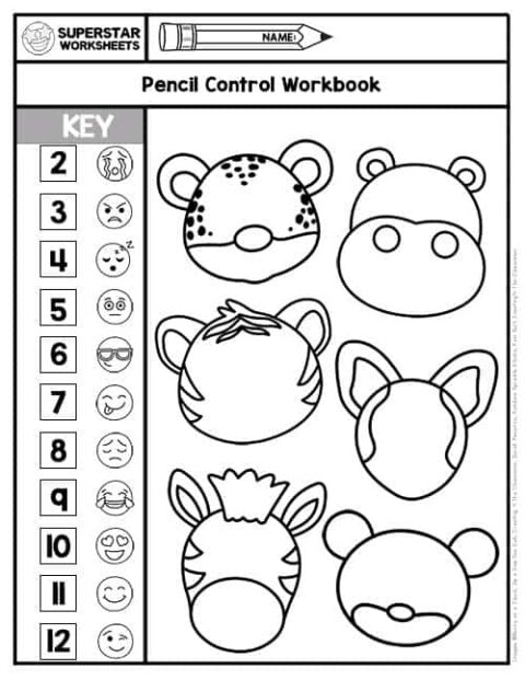 Pencil Control Bundle - The Crafty Classroom